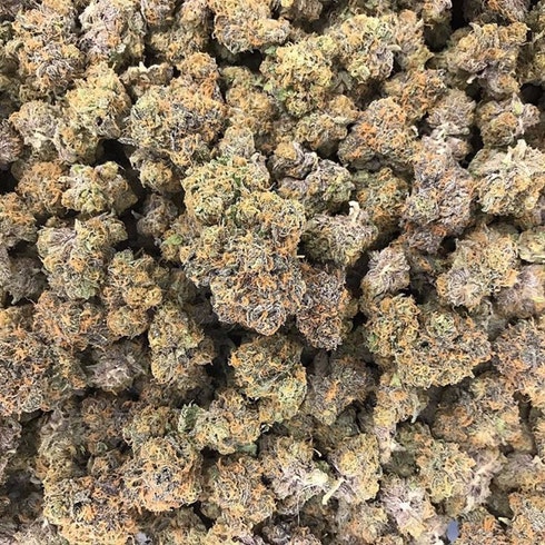 God's Gift strain - THC NATION Buy God's Gift strain Online in USA